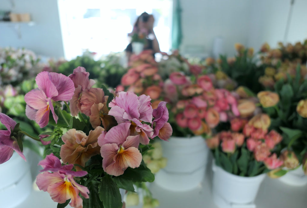 FLOWER DELIVERY – FIELDWORK