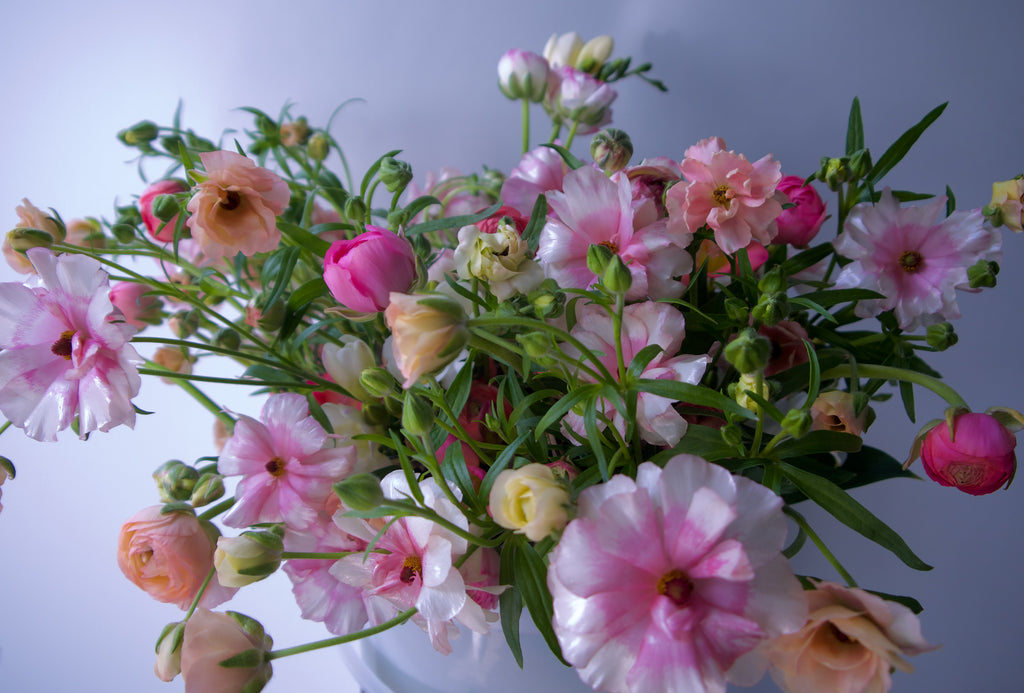 FLOWER HUGS – FIELDWORK